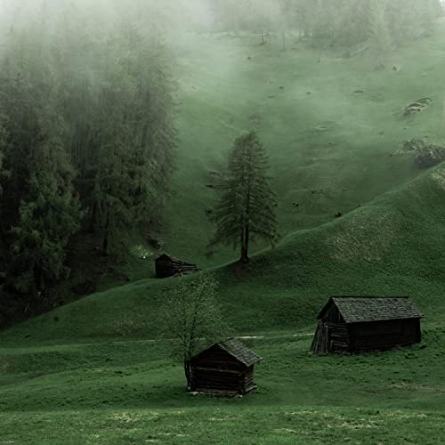 Comprar desync 🥇 【 desde 1.29 € 】 | Cultture