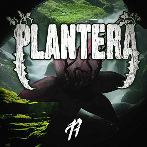 Comprar plantera 🥇 【 desde 1.29 € 】 | Cultture